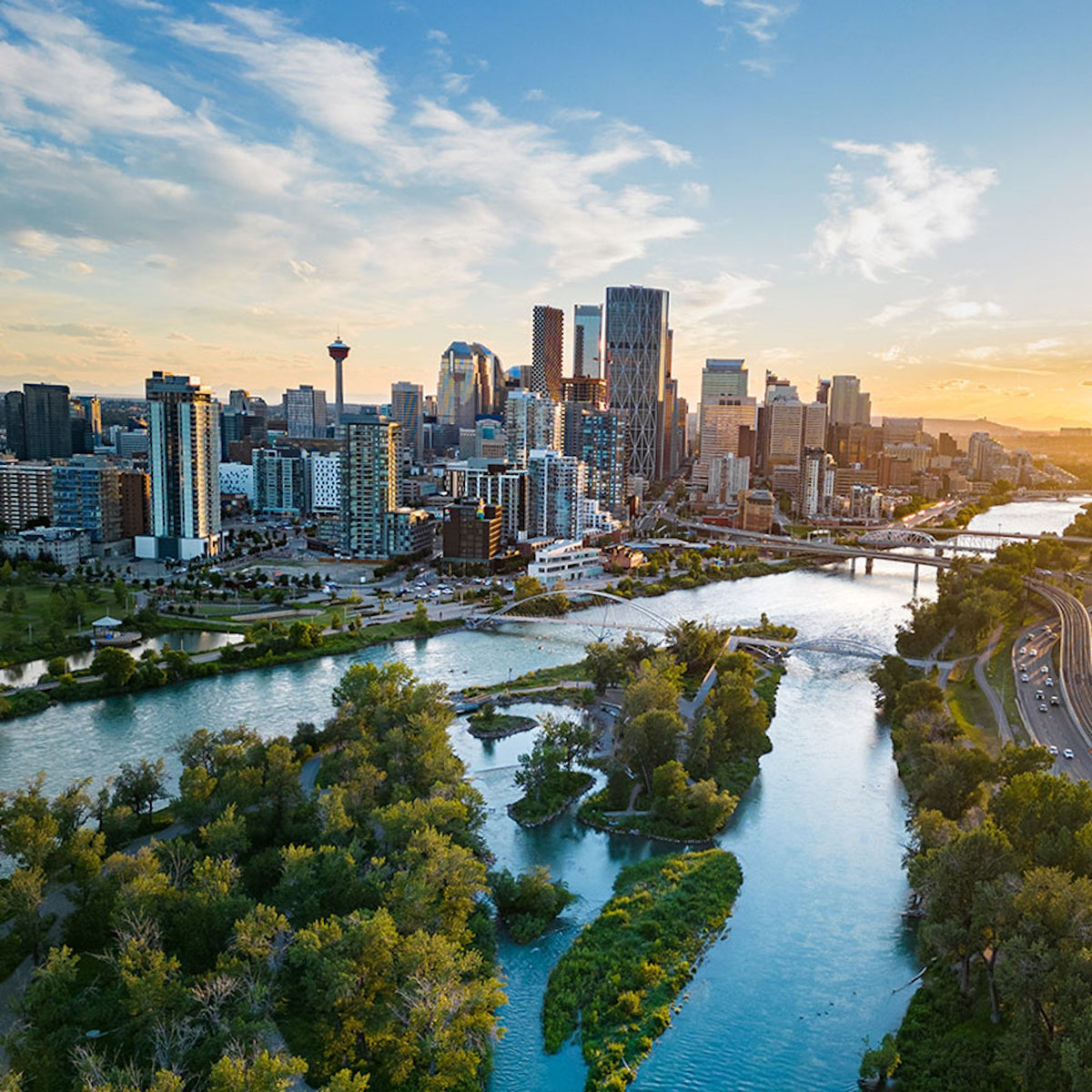 Picklefest™ Food & Drink Festival